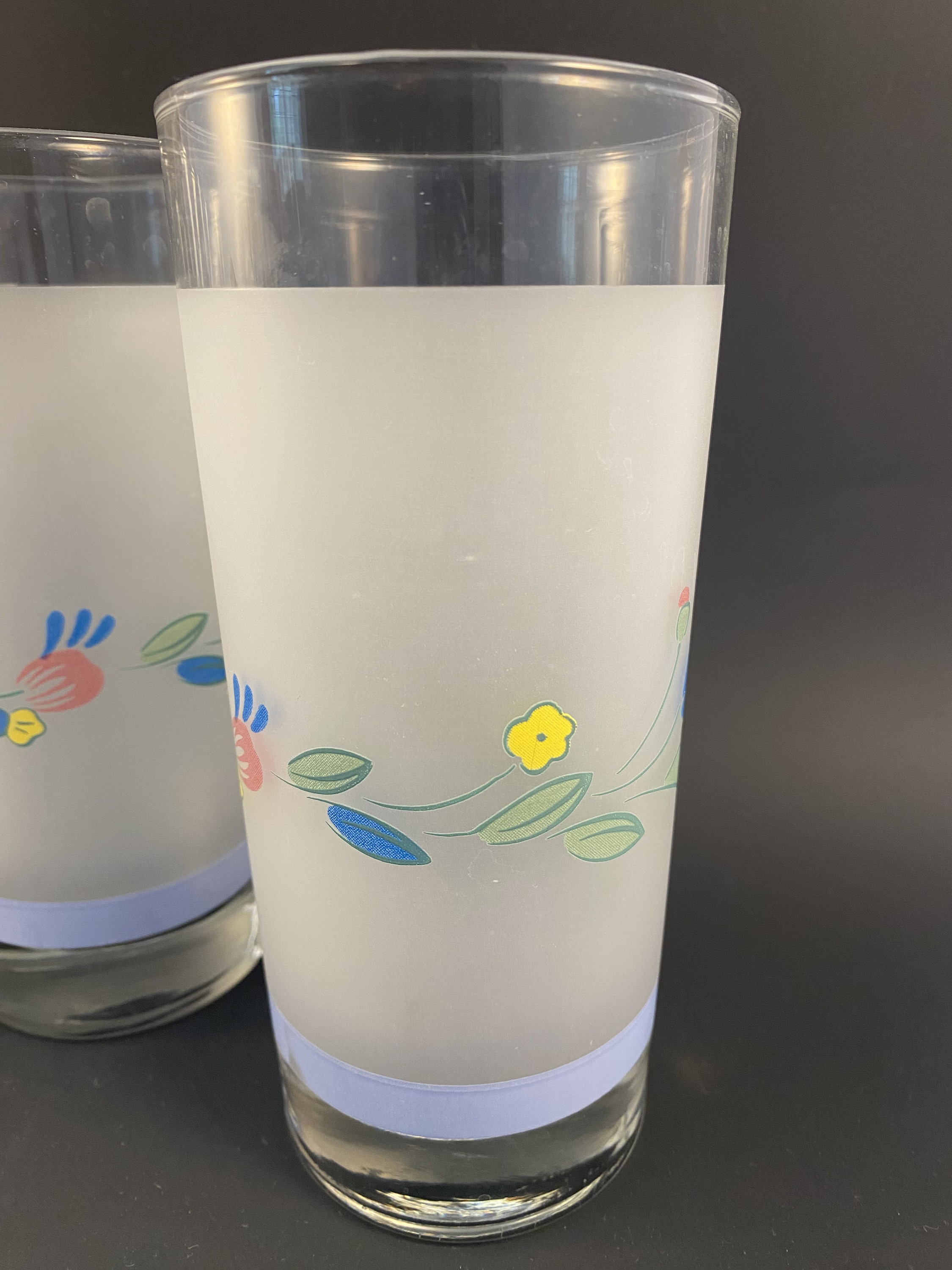 Set of 4 Floral Expressions Frosted Drinking Glasses - Etsy