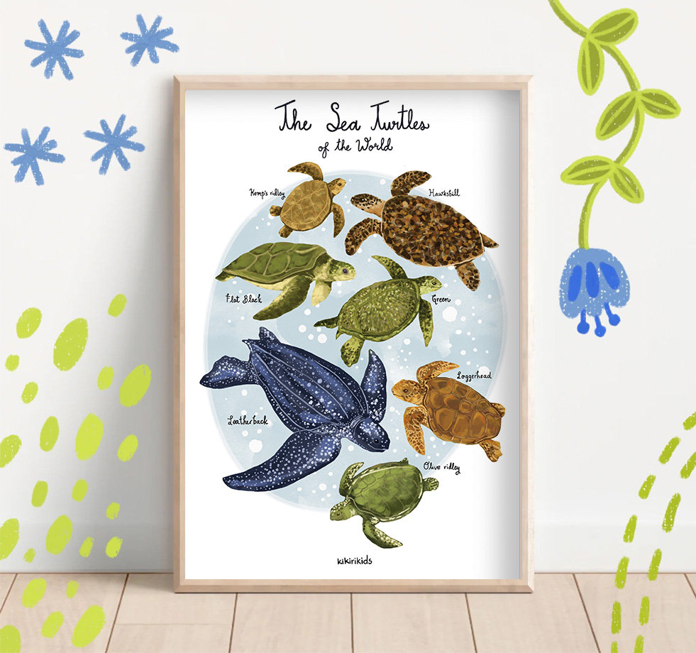 Sea Turtles of the World Wall Art , Nautical Home Decor , Ocean Animals ...