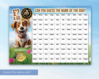 A4 TEDDY Guess the Name of Scratchcard Fundraising Game Fete Fair Fayre ...