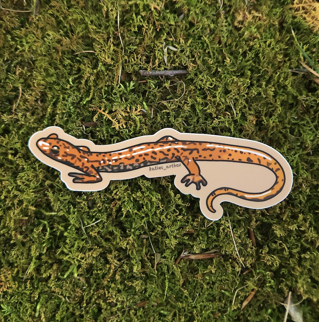 Cave Salamander Sticker - Etsy