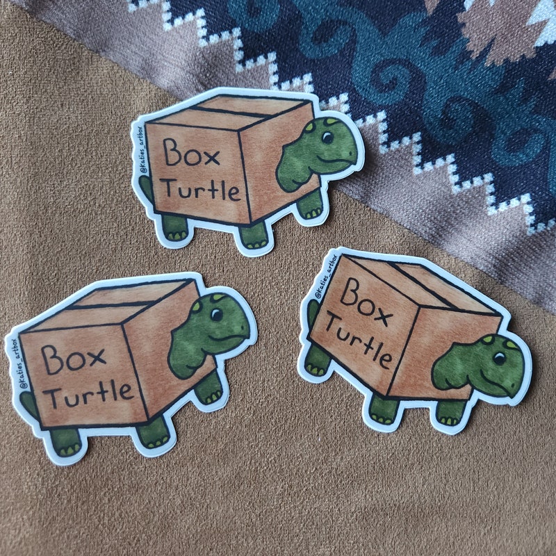 Box Turtle - Etsy