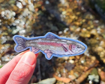 Rainbow Trout Sticker Decal 20% Flows to Western Rivers - Etsy