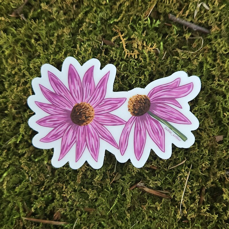 Pollinator Sticker Pack - Etsy