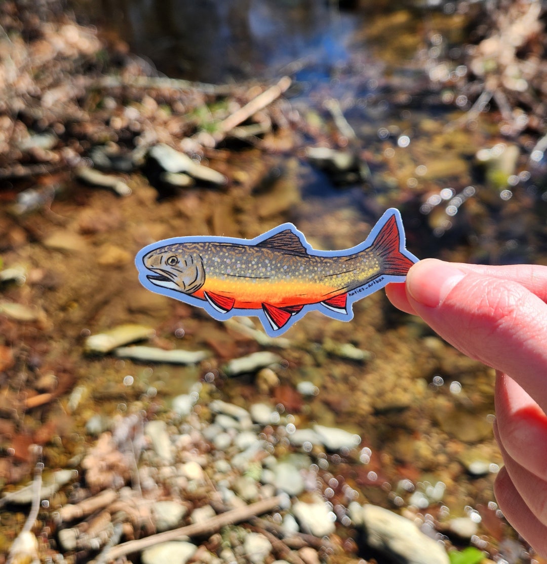 Brook Trout Sticker - Etsy