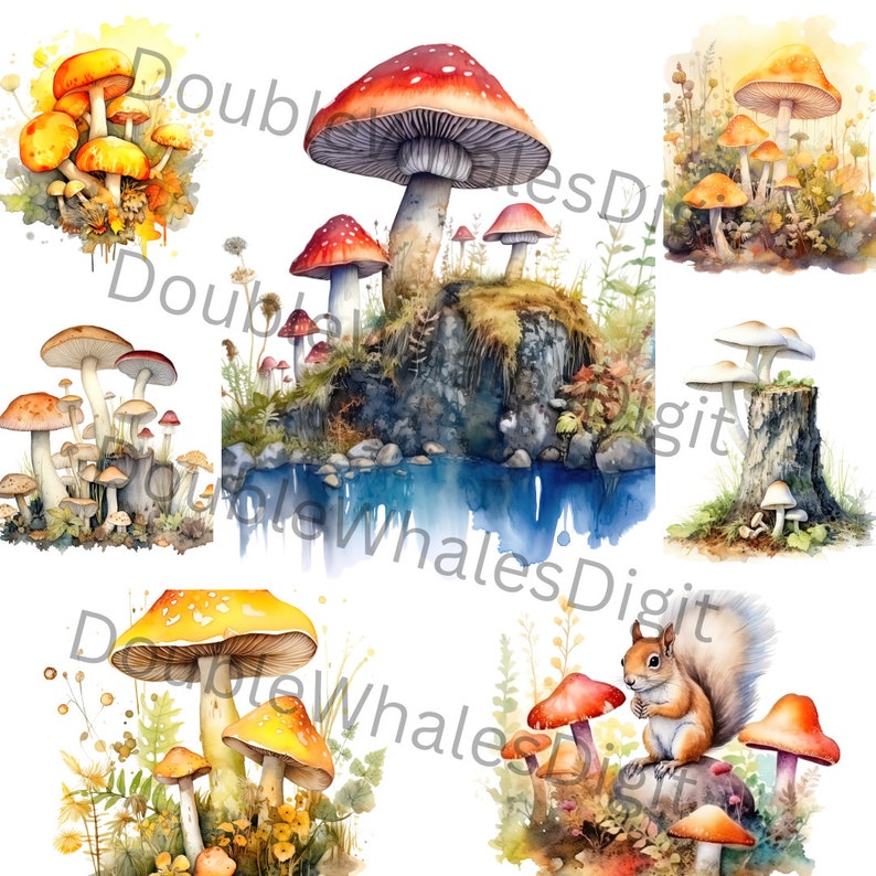 Watercolor Mushroom Clipart Set of 20, Fall Mushrooms Summer Caps, PNG ...