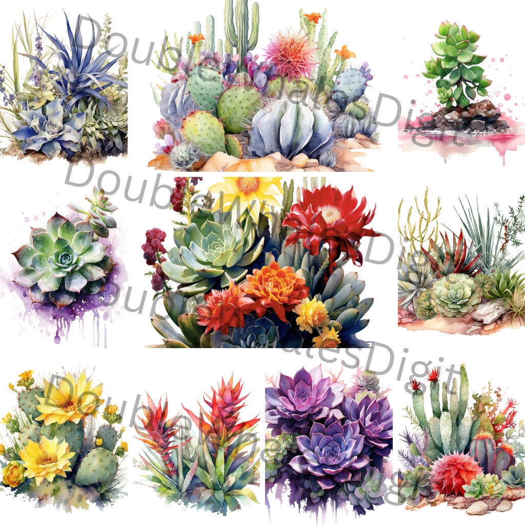 Watercolor Cactus Floral Clipart Set of 60, Fall Flowers Summer Fall ...