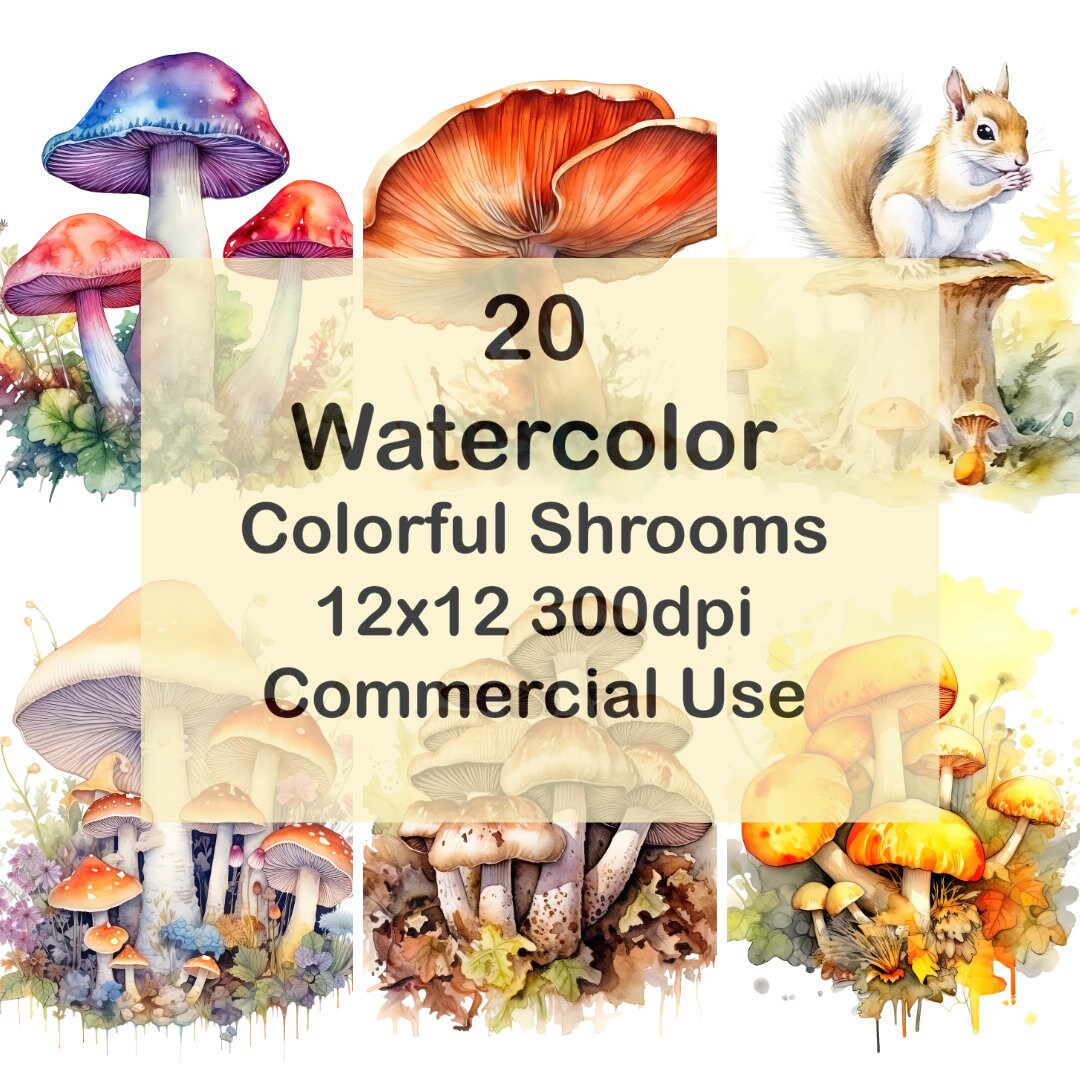Watercolor Mushroom Clipart Set of 20 Fall Mushrooms Summer - Etsy
