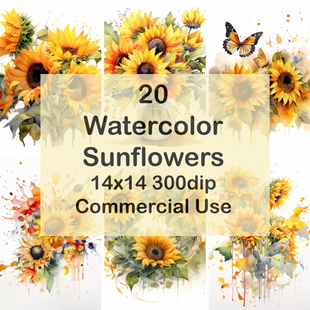 Watercolor Floral Sunflower Clipart Set of 20 Fall Flowers - Etsy