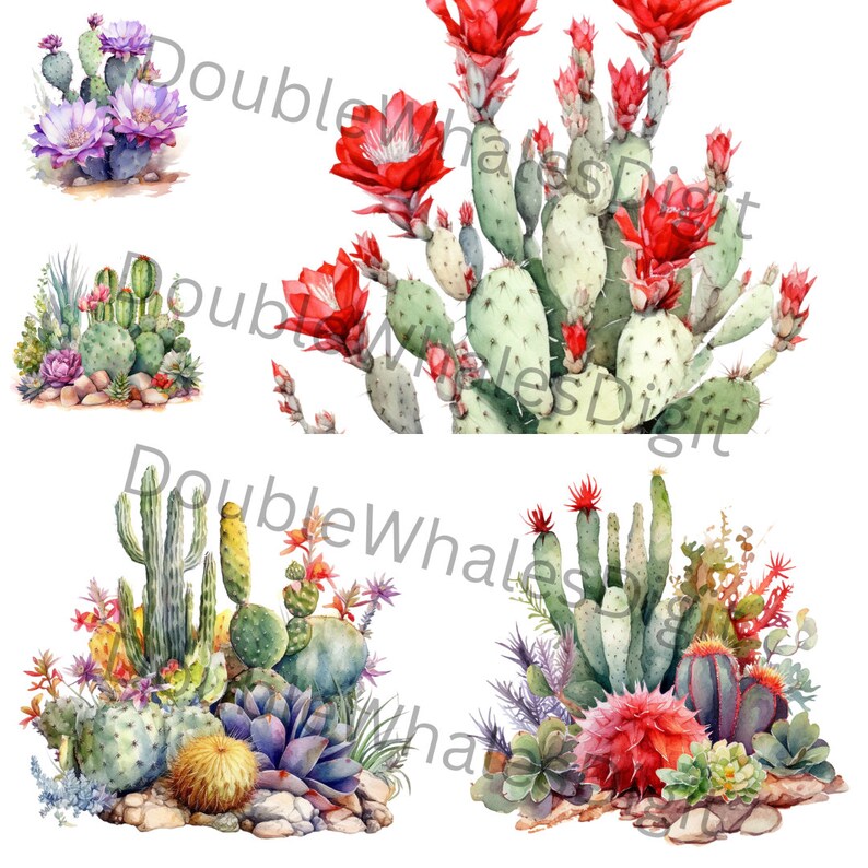 Watercolor Floral Cacti Floral Clipart Set of 20, Fall Flowers Summer ...