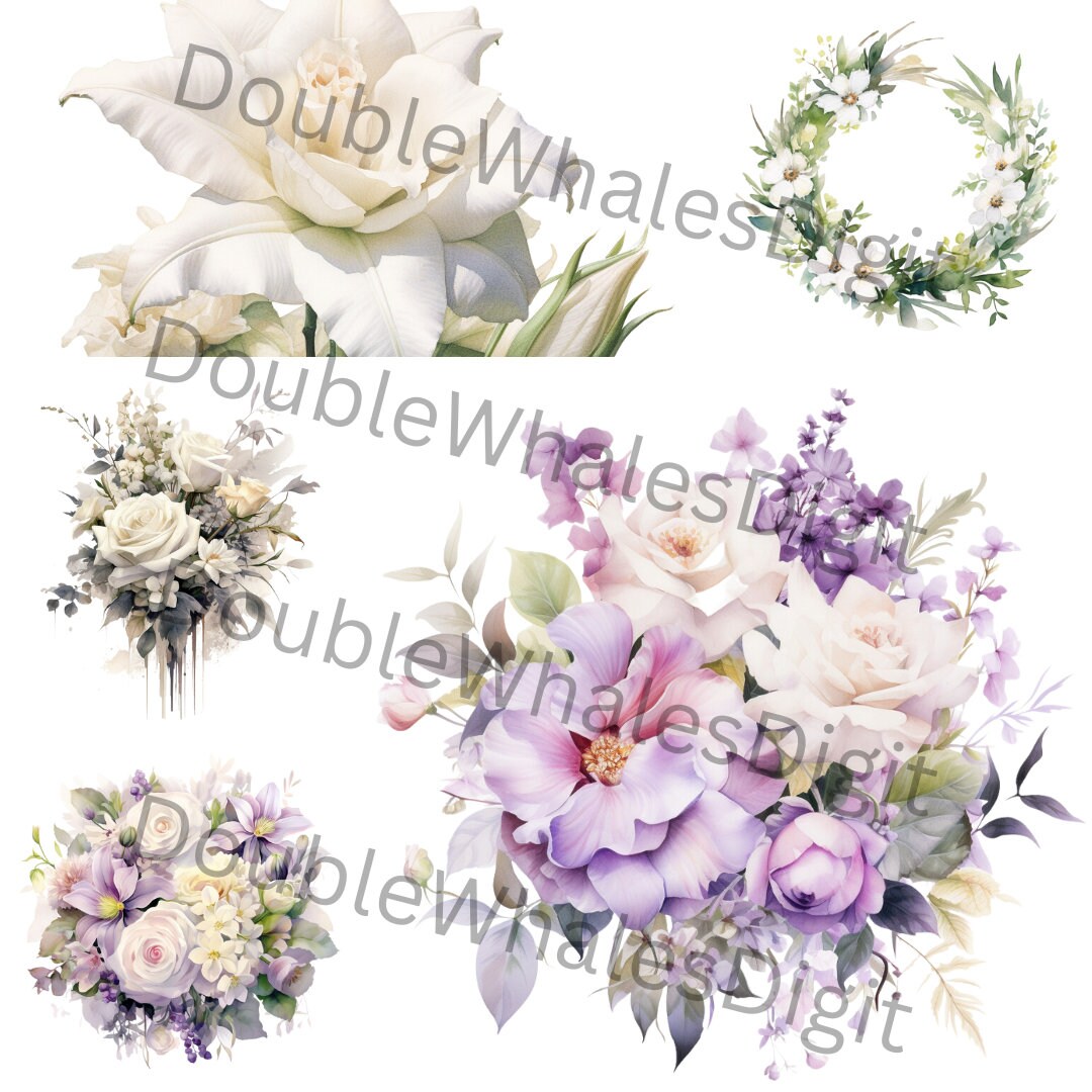 Watercolor White Floral Clipart Set of 20, Watercolor Rose Boutique ...