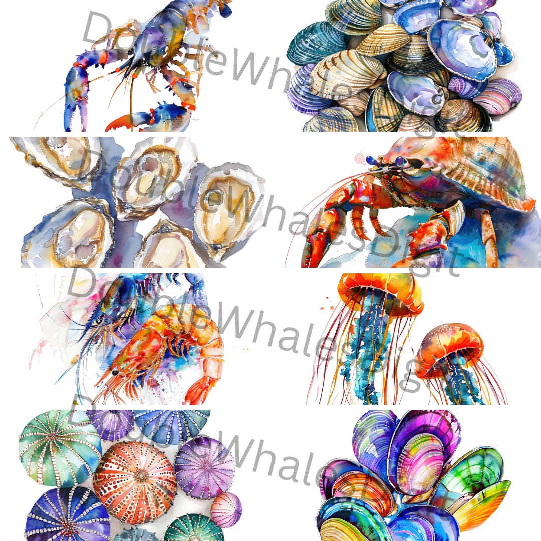 Watercolor Crustacean Seafood Clipart Set of 20, Crustacean Seafood ...