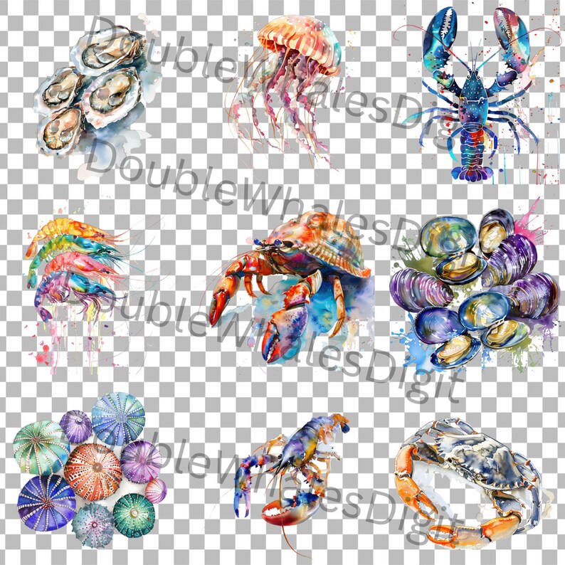 Watercolor Crustacean Seafood Clipart Set of 20, Crustacean Seafood ...