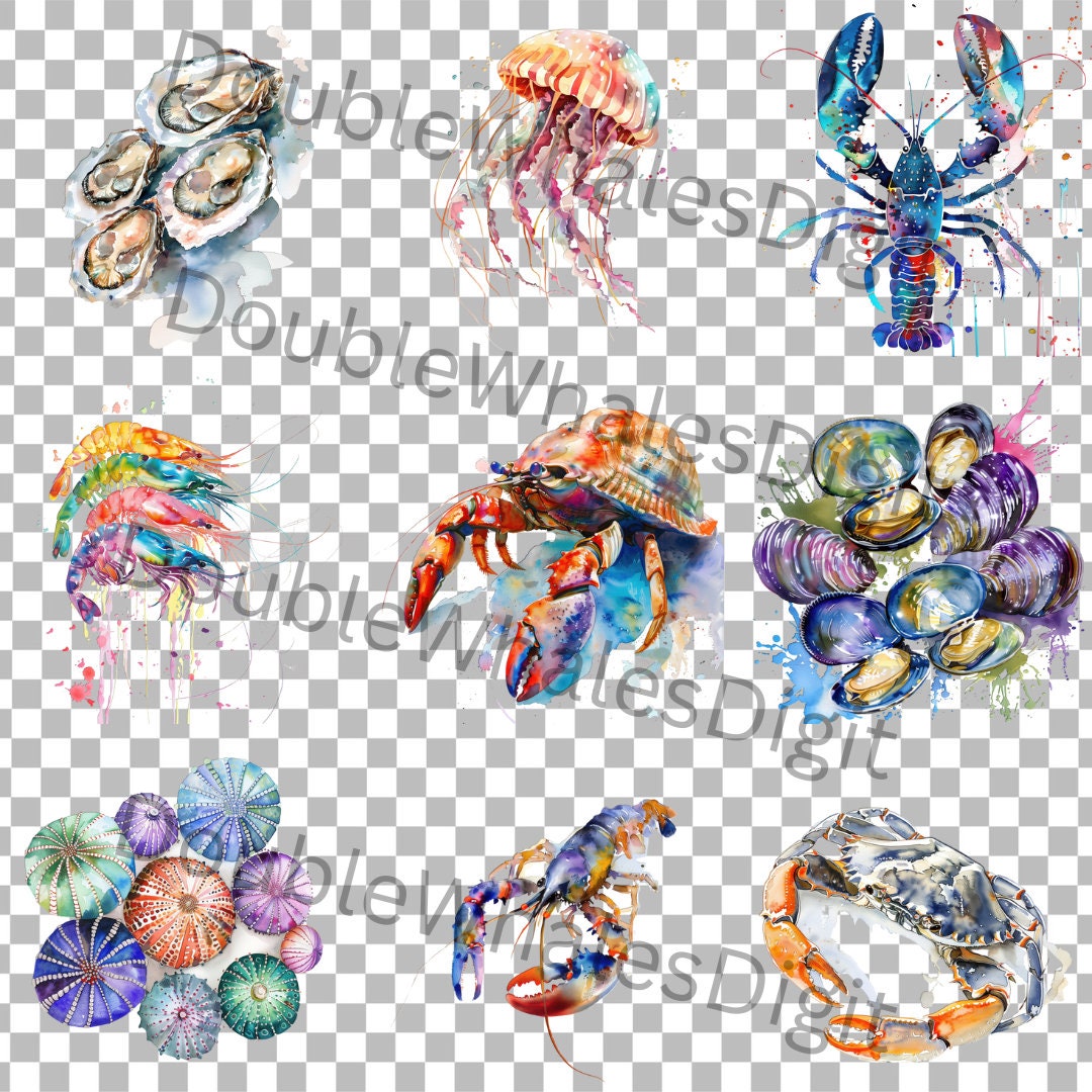 Watercolor Crustacean Seafood Clipart Set of 20, Crustacean Seafood ...