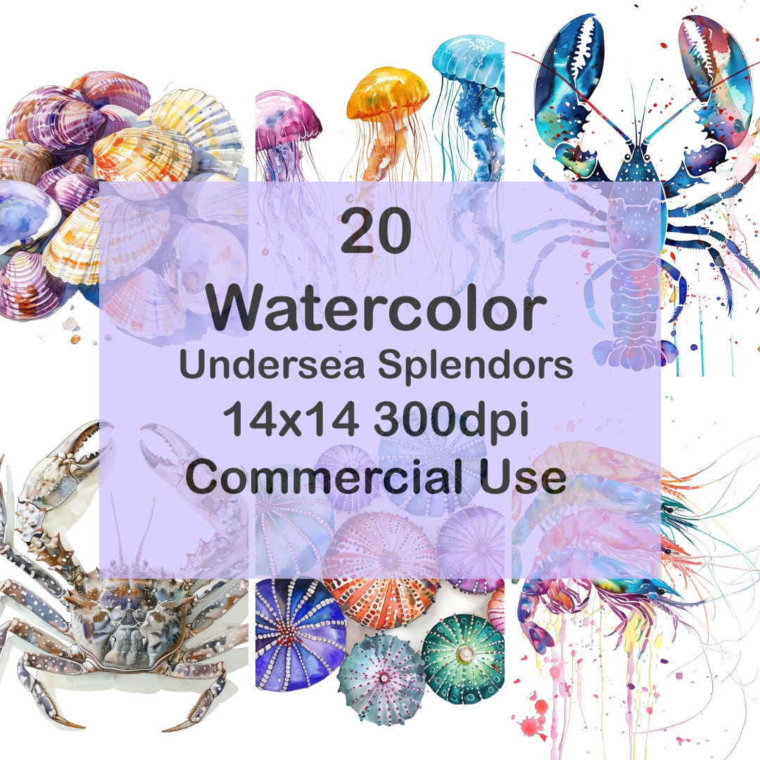 Watercolor Crustacean Seafood Clipart Set of 20, Crustacean Seafood ...