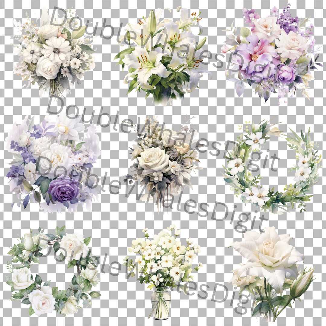 Watercolor White Floral Clipart Set of 20, Watercolor Rose Boutique ...
