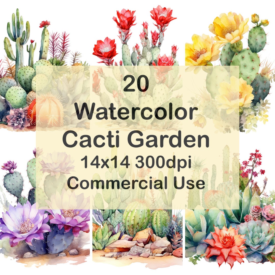 Watercolor Floral Cacti Floral Clipart Set of 20, Fall Flowers Summer ...
