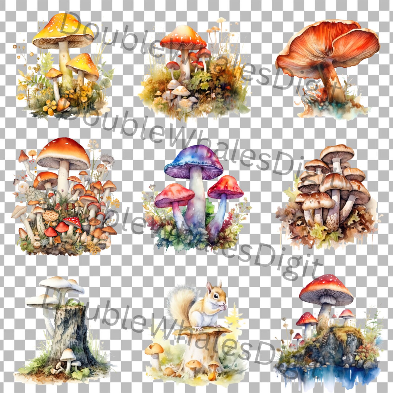 Watercolor Mushroom Clipart Set of 20, Fall Mushrooms Summer Caps, PNG ...