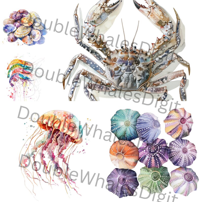 Watercolor Crustacean Seafood Clipart Set of 20, Crustacean Seafood ...