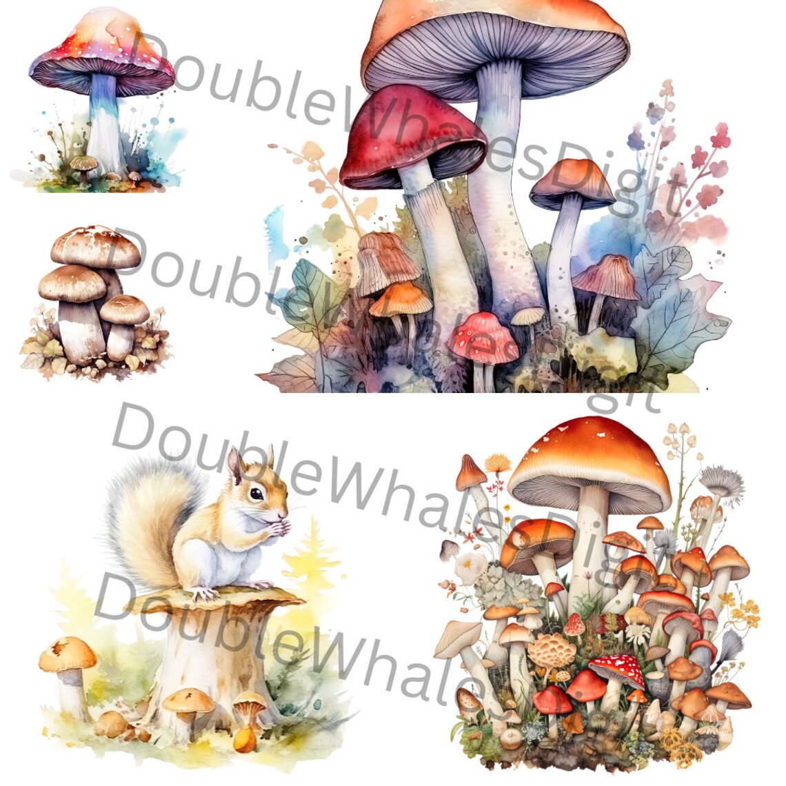 Watercolor Mushroom Clipart Set of 20, Fall Mushrooms Summer Caps, PNG ...