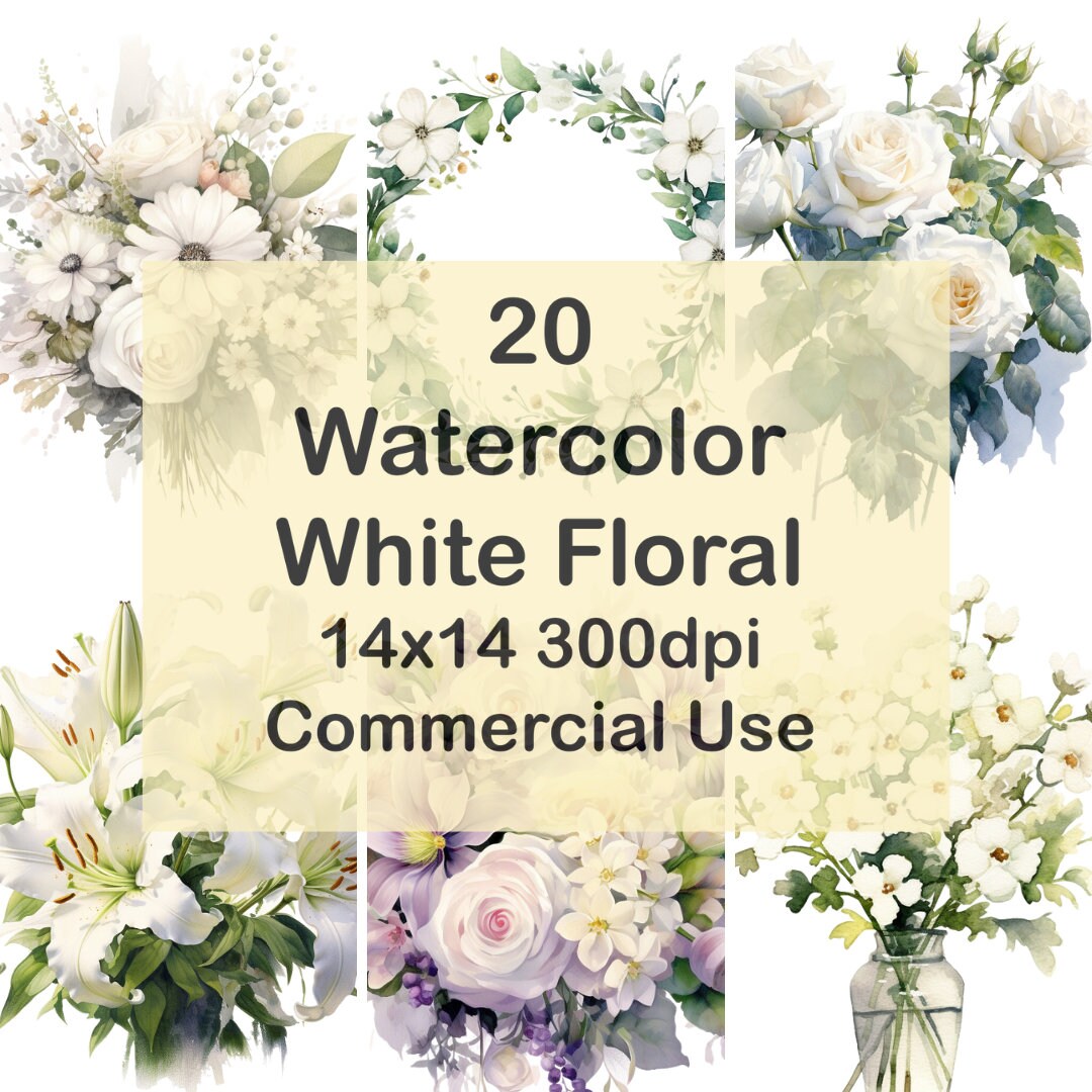 Watercolor White Floral Clipart Set of 20, Watercolor Rose Boutique ...