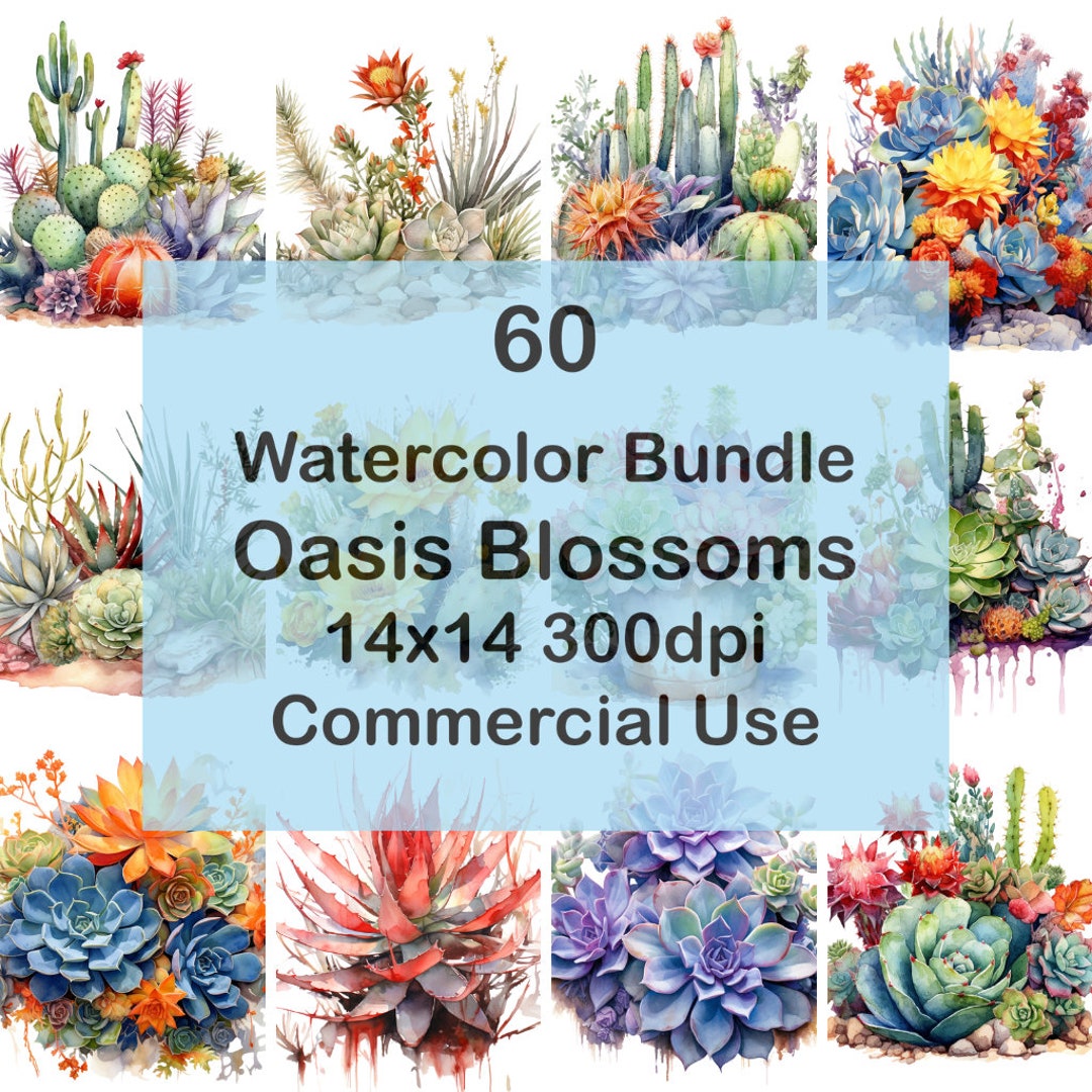 Watercolor Cactus Floral Clipart Set of 60, Fall Flowers Summer Fall ...