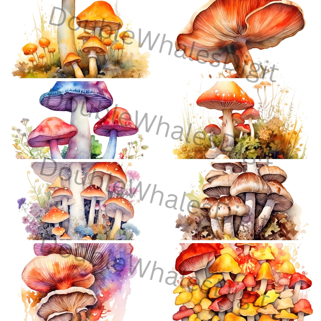 Watercolor Mushroom Clipart Set of 20, Fall Mushrooms Summer Caps, PNG ...