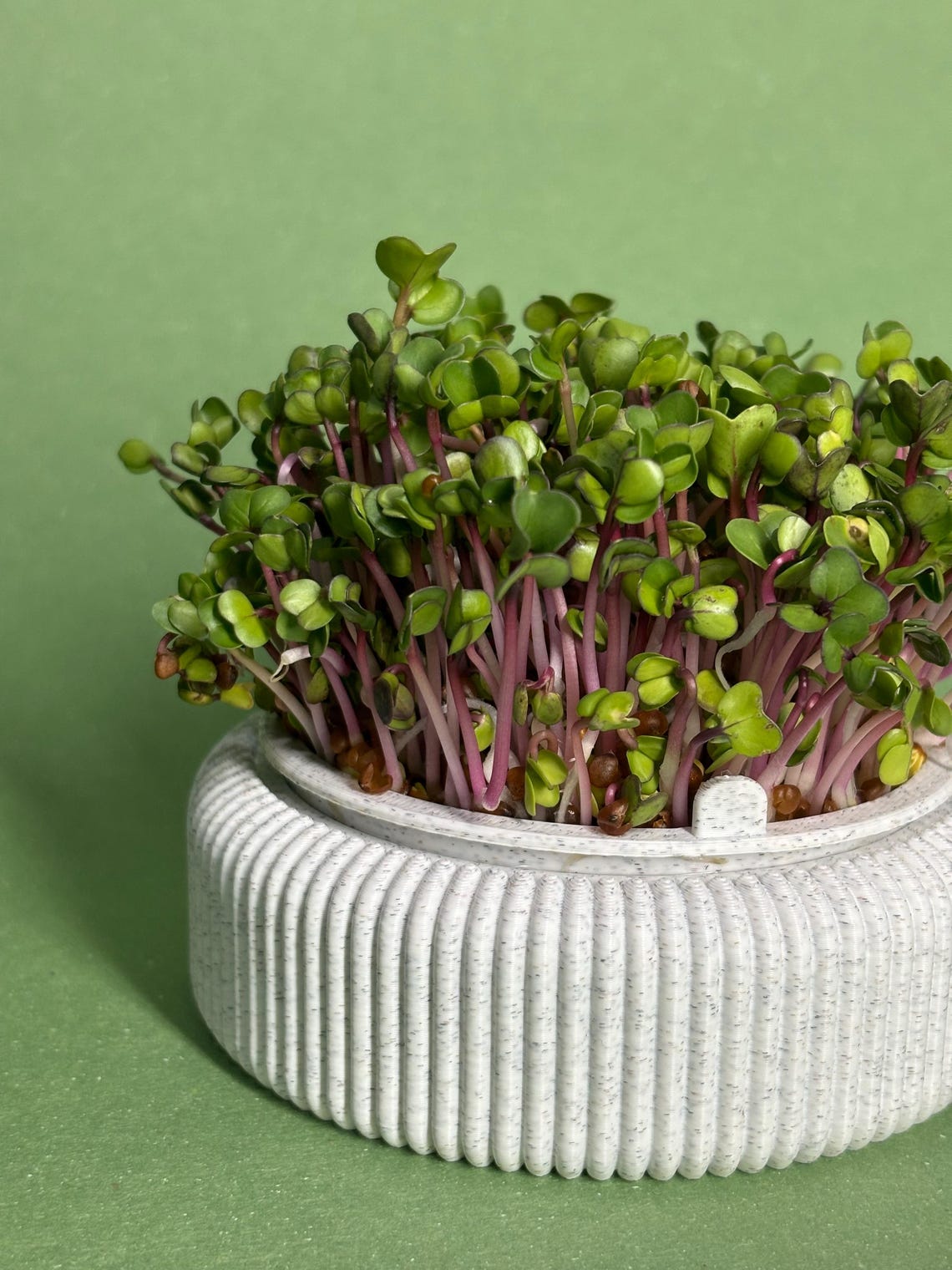 3D Printable Microgreens Growing Kit STL File: Indoor Gardening ...