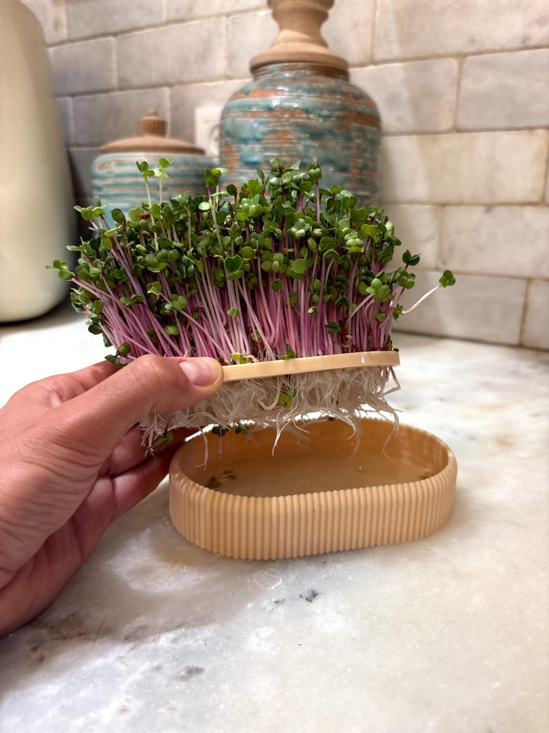 Long Microgreens Growing Kit – Custom Name Ready | 3D Printable STL ...