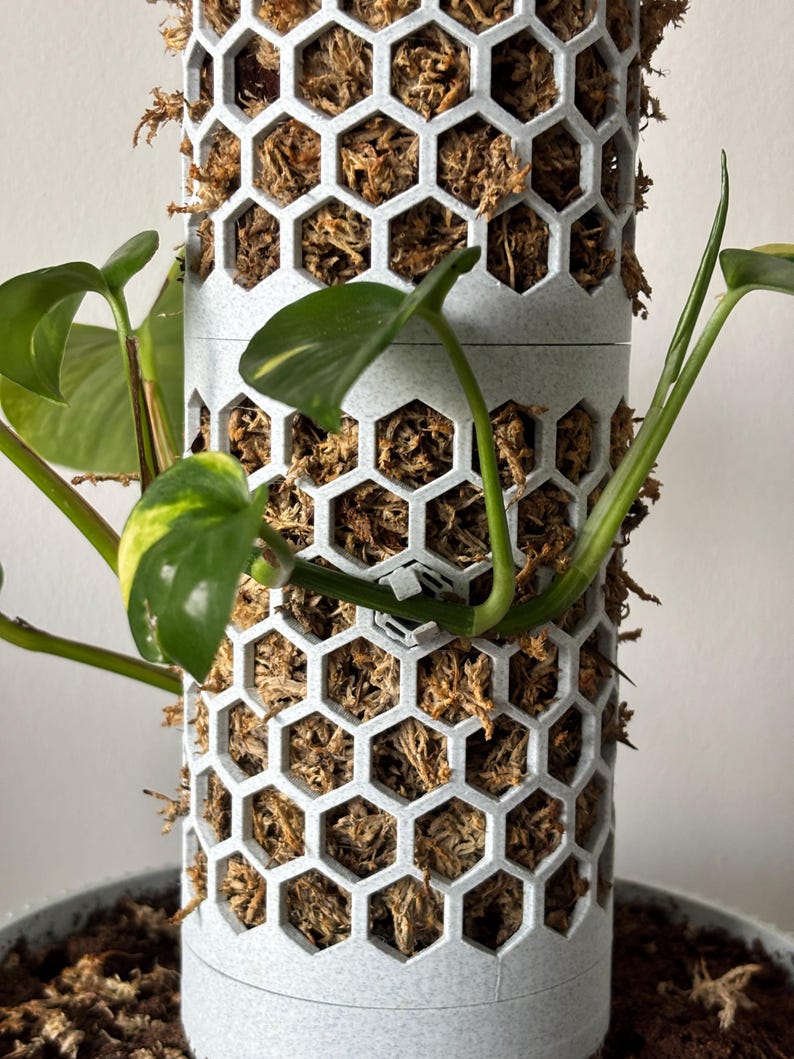 CLIMBMATE: Modular Moss Pole Planter With Self-watering System, STL ...