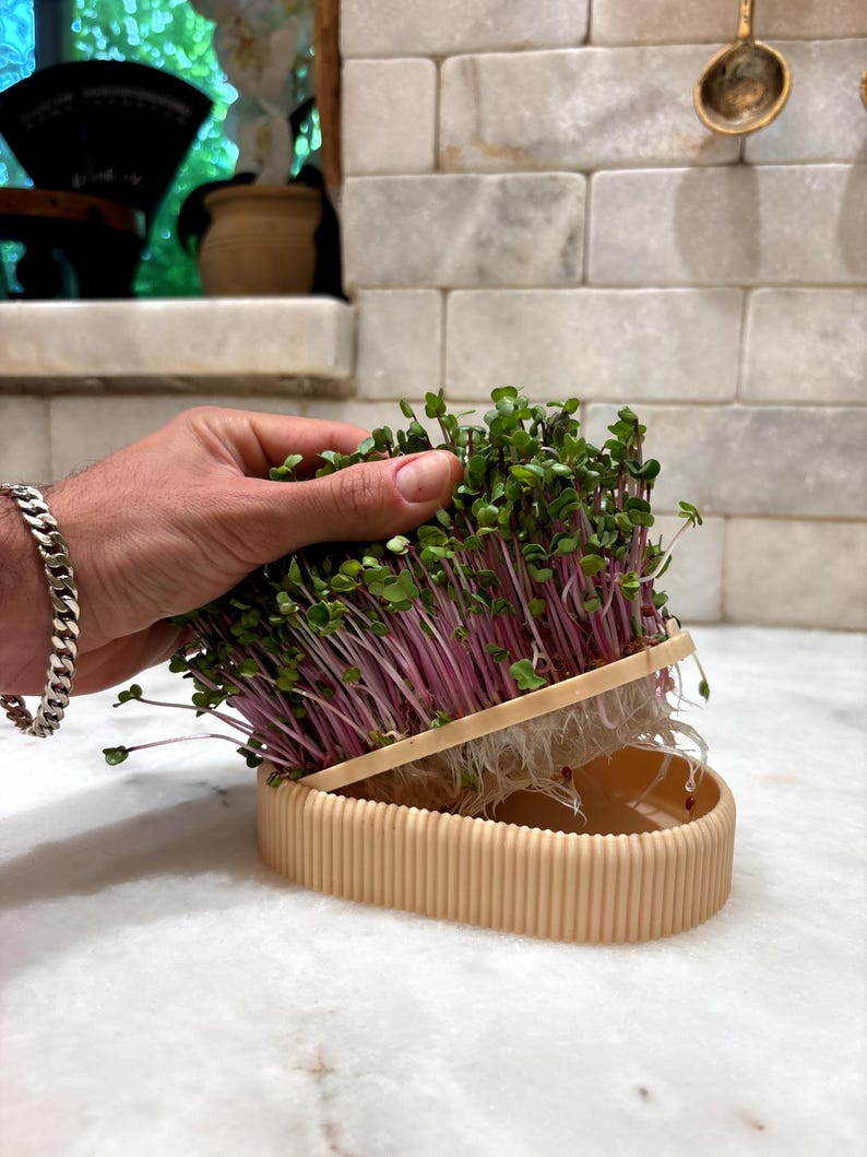 Long Microgreens Growing Kit – Custom Name Ready | 3D Printable STL Files - Etsy