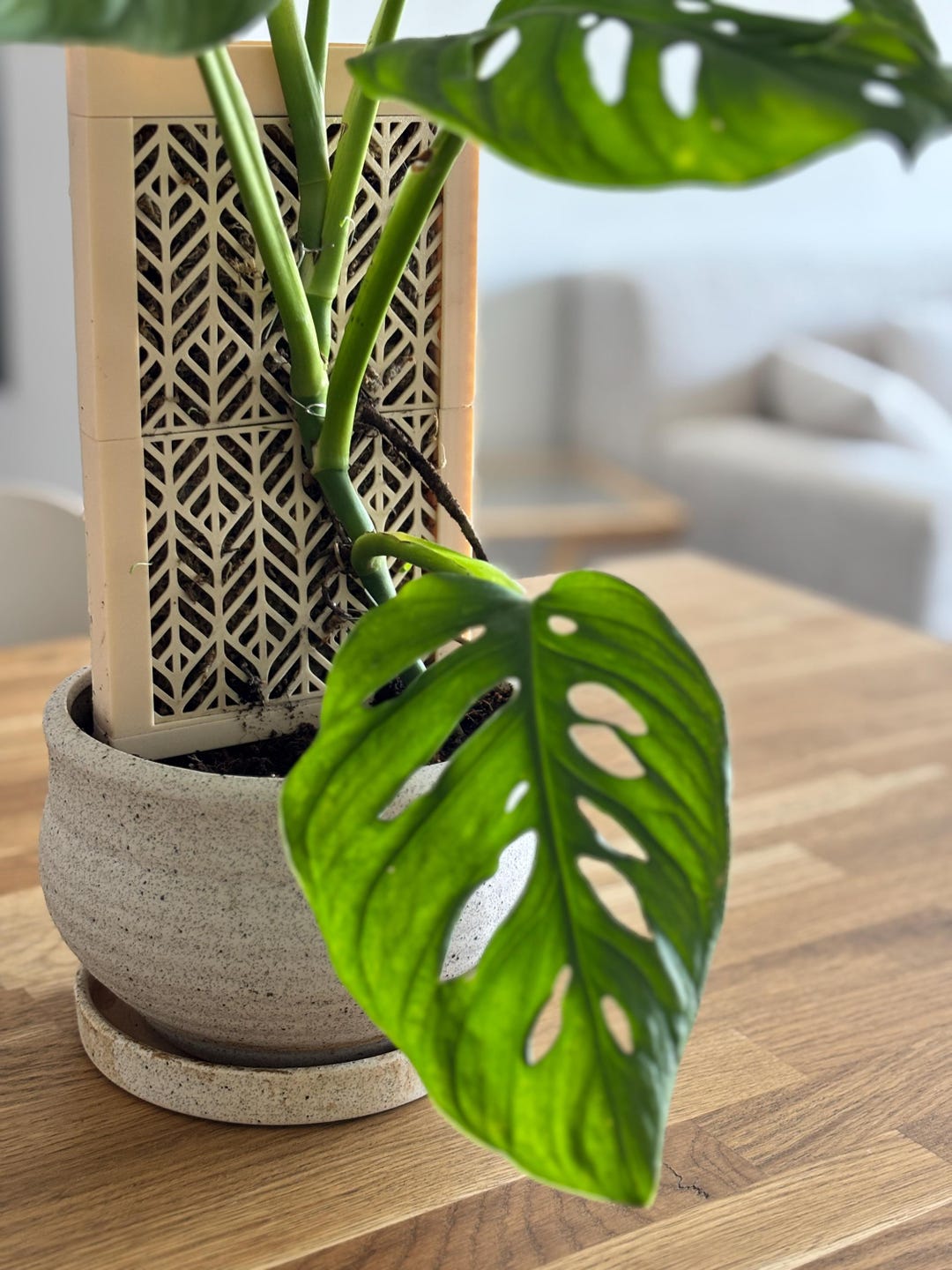 CLIMBIT – Modular Self-watering Moss Pole System - 3D Print STL Files ...