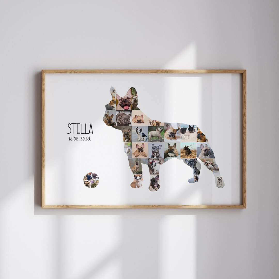 French Bulldog Photo Collage Canva Template French Bulldog Art Pet ...
