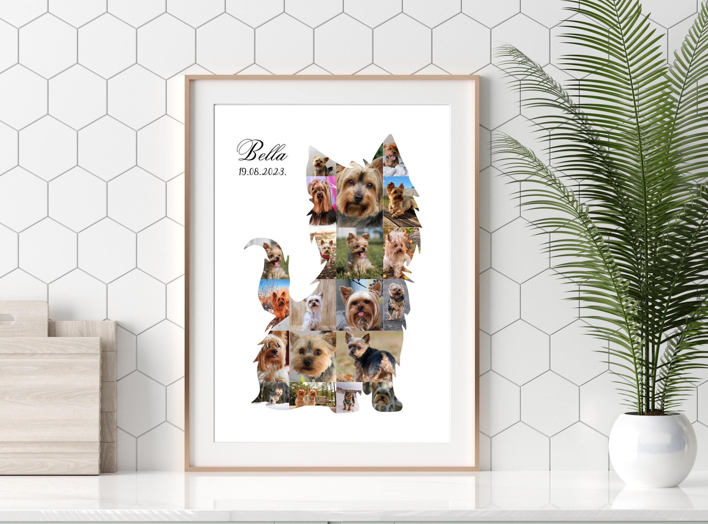 Custom Yorkshire Terrier Photo Collage Canva Template Pet Memorial ...