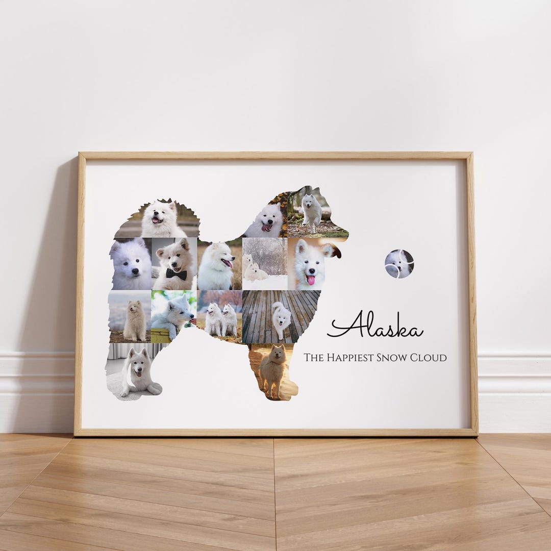 Samoyed Photo Collage Canva Template Printable Pet Picture Collage Dog ...