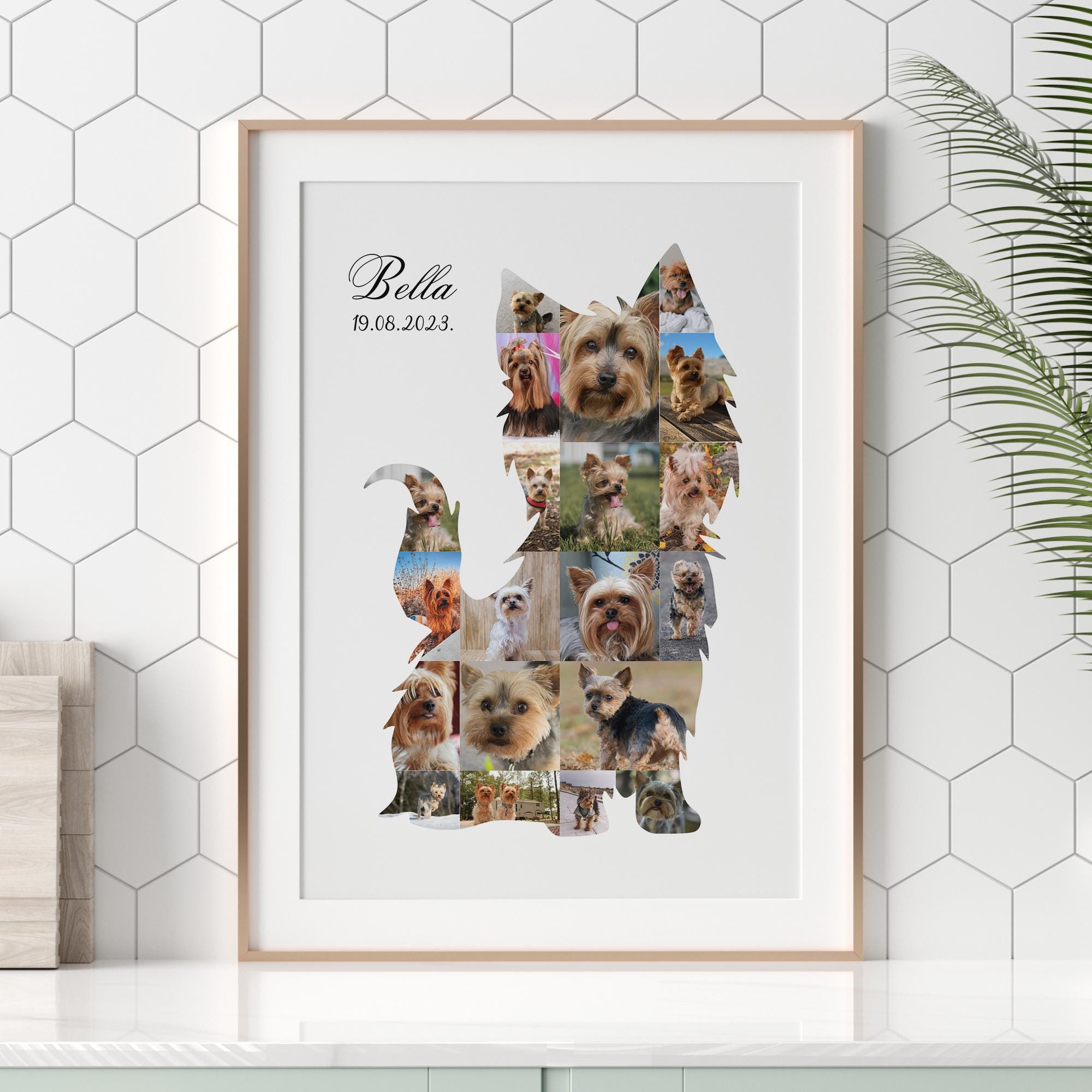 Custom Yorkshire Terrier Photo Collage Canva Template Pet Memorial ...