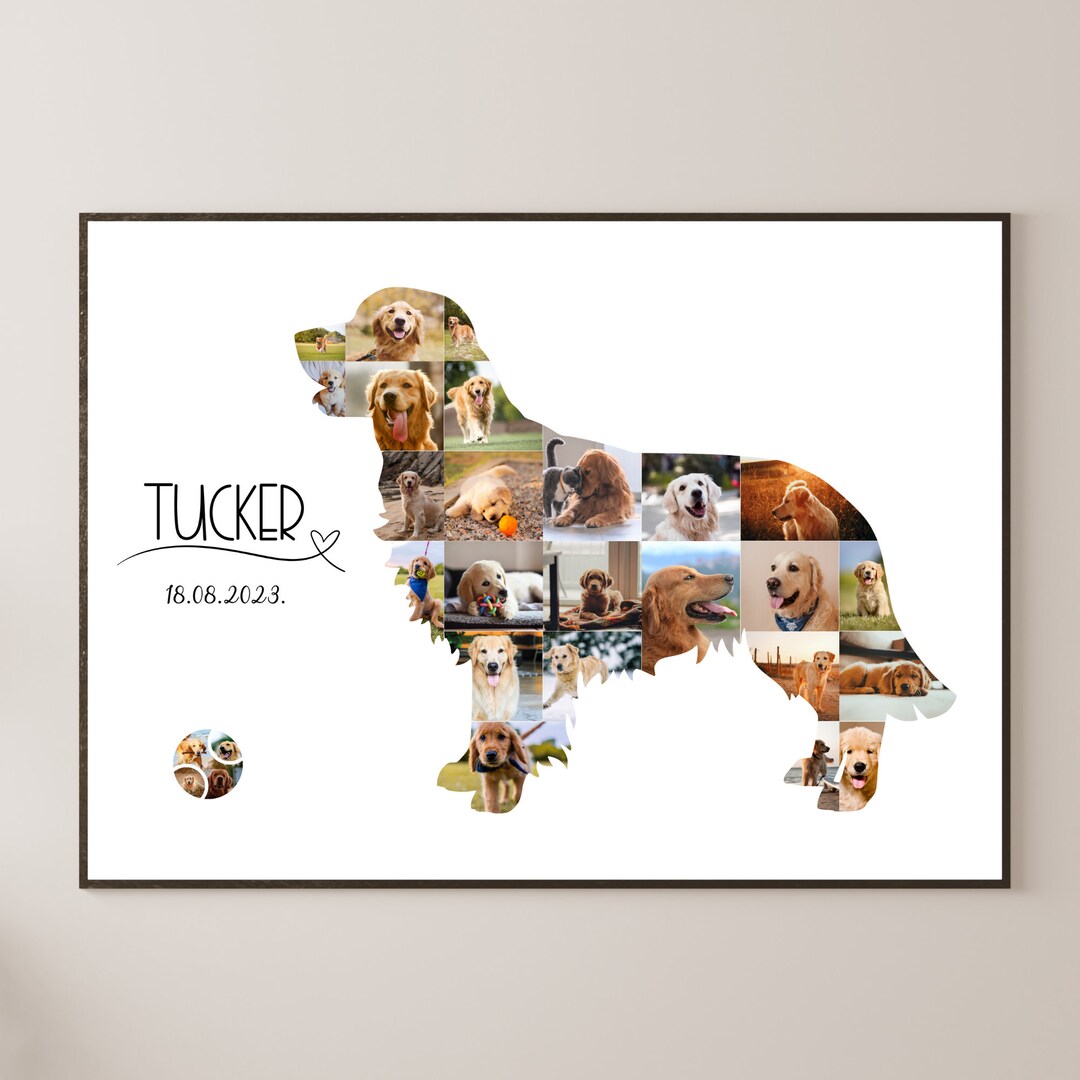 Dog Photo Collage Cava Template Golden Retriever Pet Memorial - Etsy