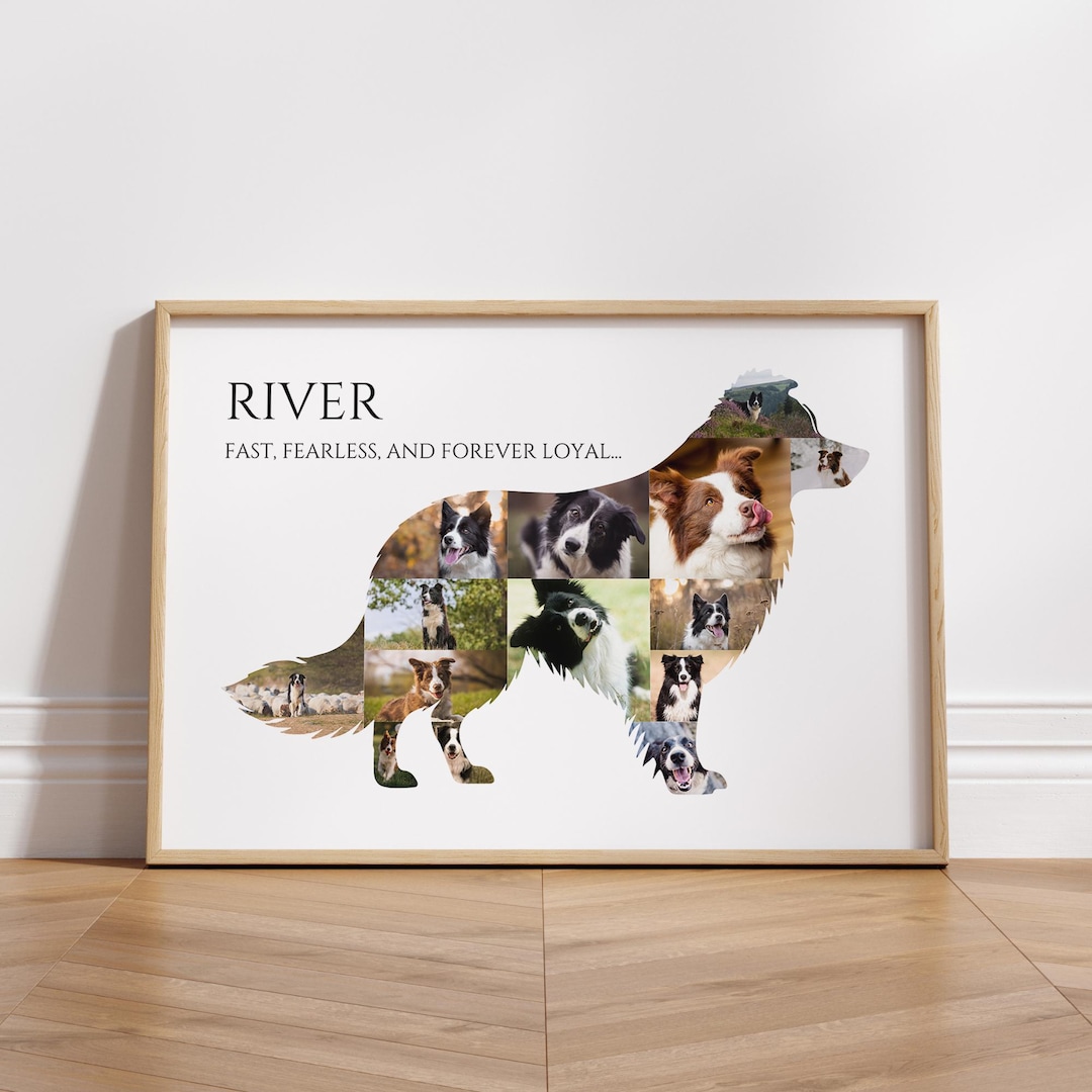 Border Collie Photo Collage Canva Template Dog Picture Collage Dog Mom ...