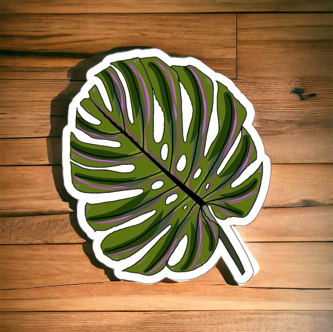 Monstera Plant Sticker - Etsy