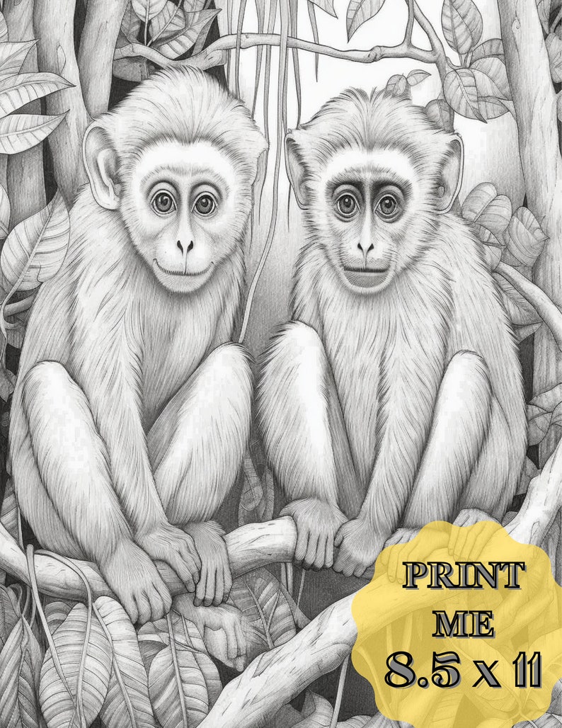Best Friends Monkey Coloring Page Animal Friends Jungle Paint - Etsy