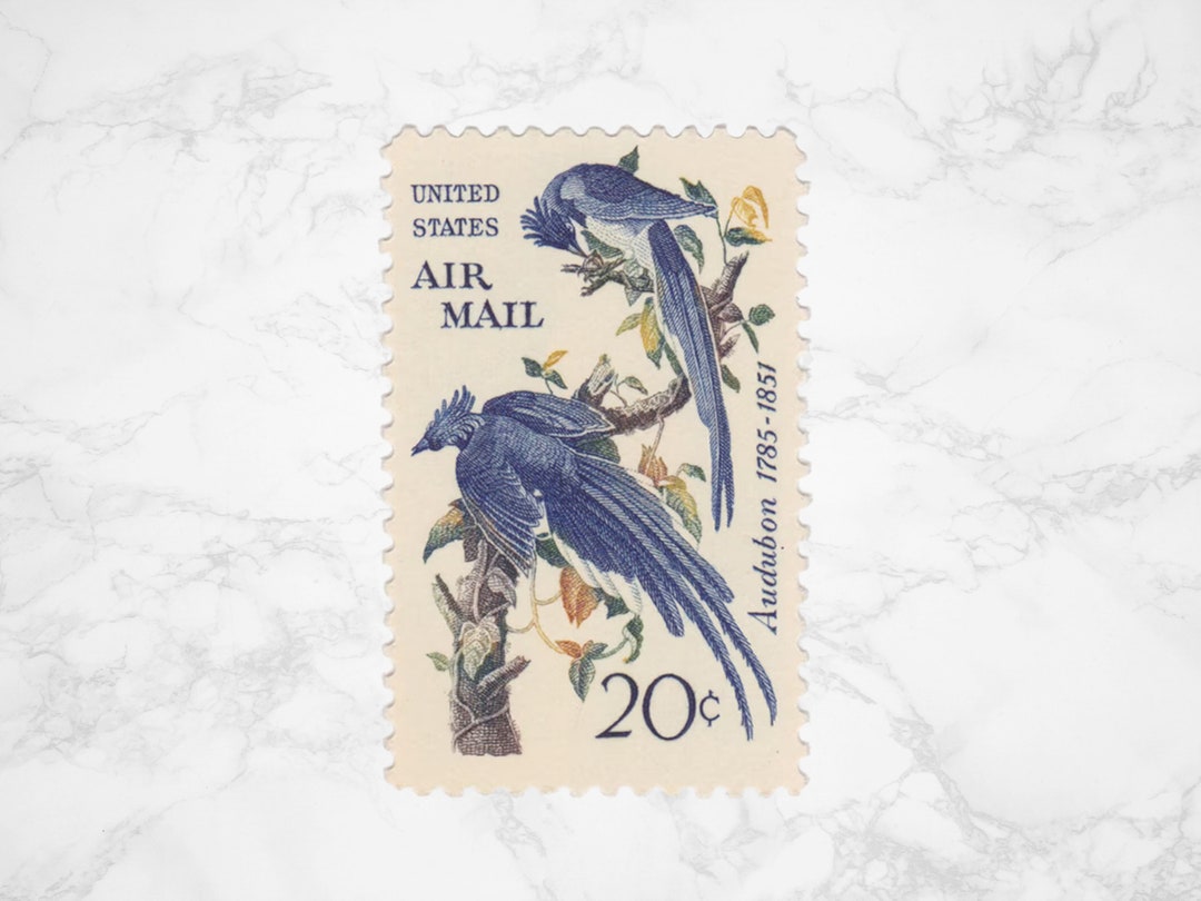 US Vintage Blue Postage Stamp, 1967 20c John James Audubon Airmail ...