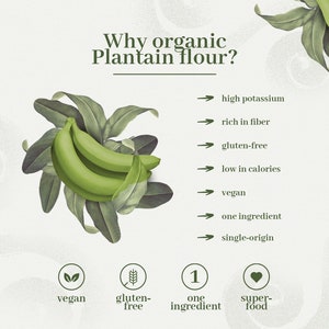 Organic Plantain Flour Gluten Free, All Purpose Flour Alternative, High ...