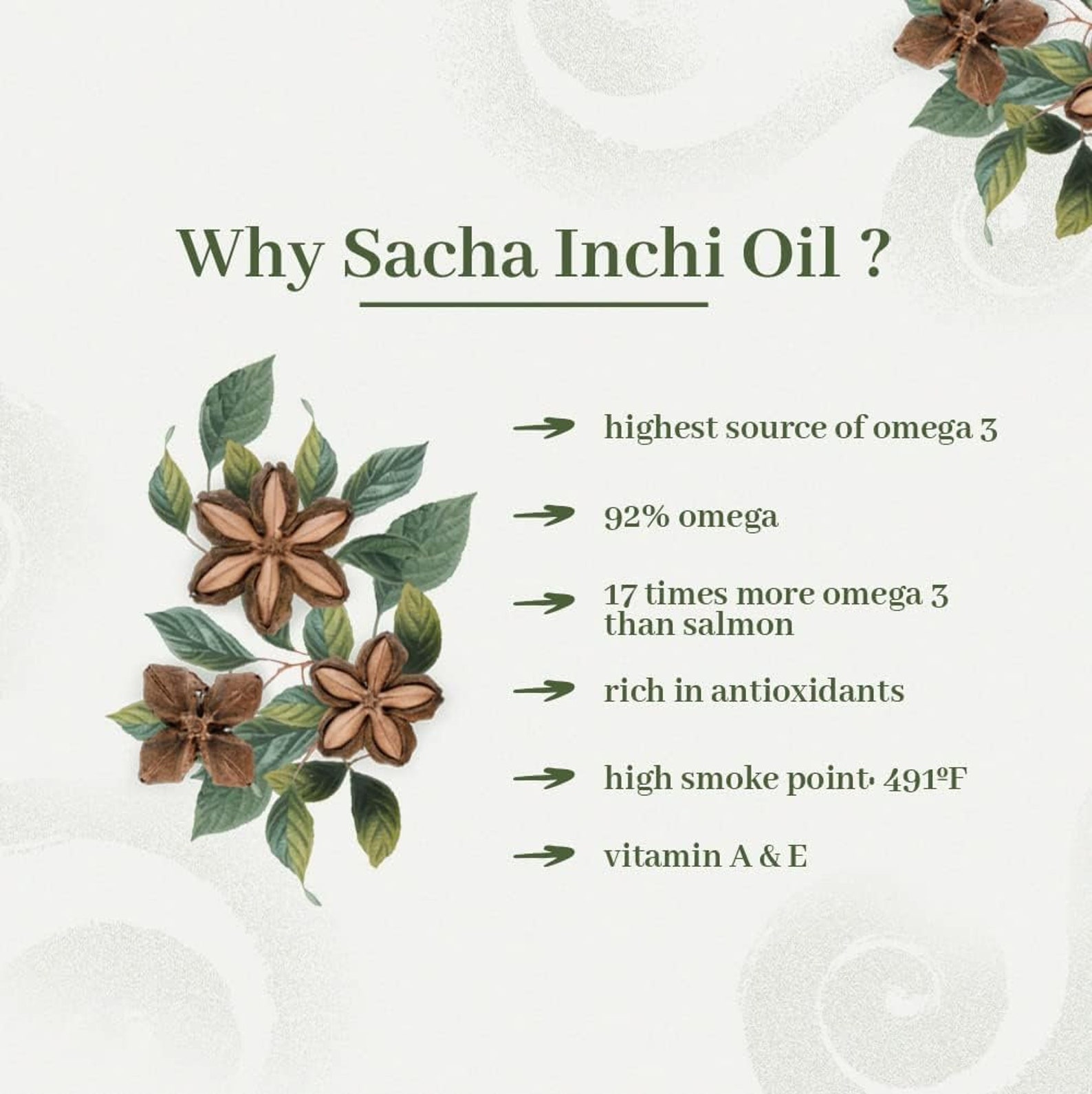Sacha Inchi Seed Oil and Protein Bundle 8.45oz 250ml Oil 17.6oz 500g ...