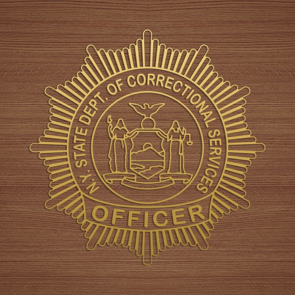 Correctional Decal - Etsy