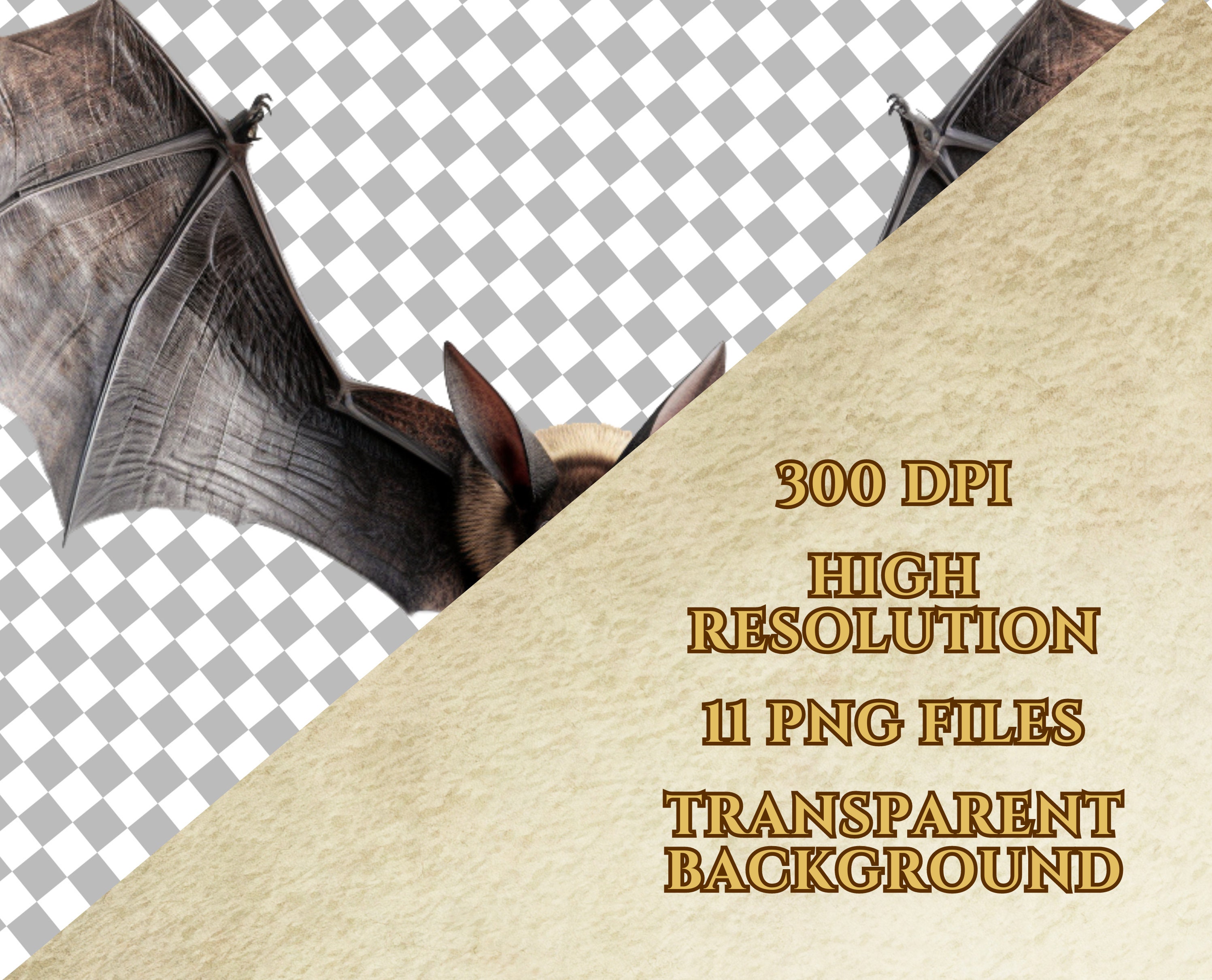 Bats Bundle of 11 Clip Art, High Resolution, Transparent Background ...