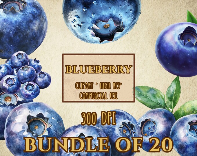 Watercolor Blueberry Clip Art - 18 PNG Watercolor Fruits Blueberry Art ...