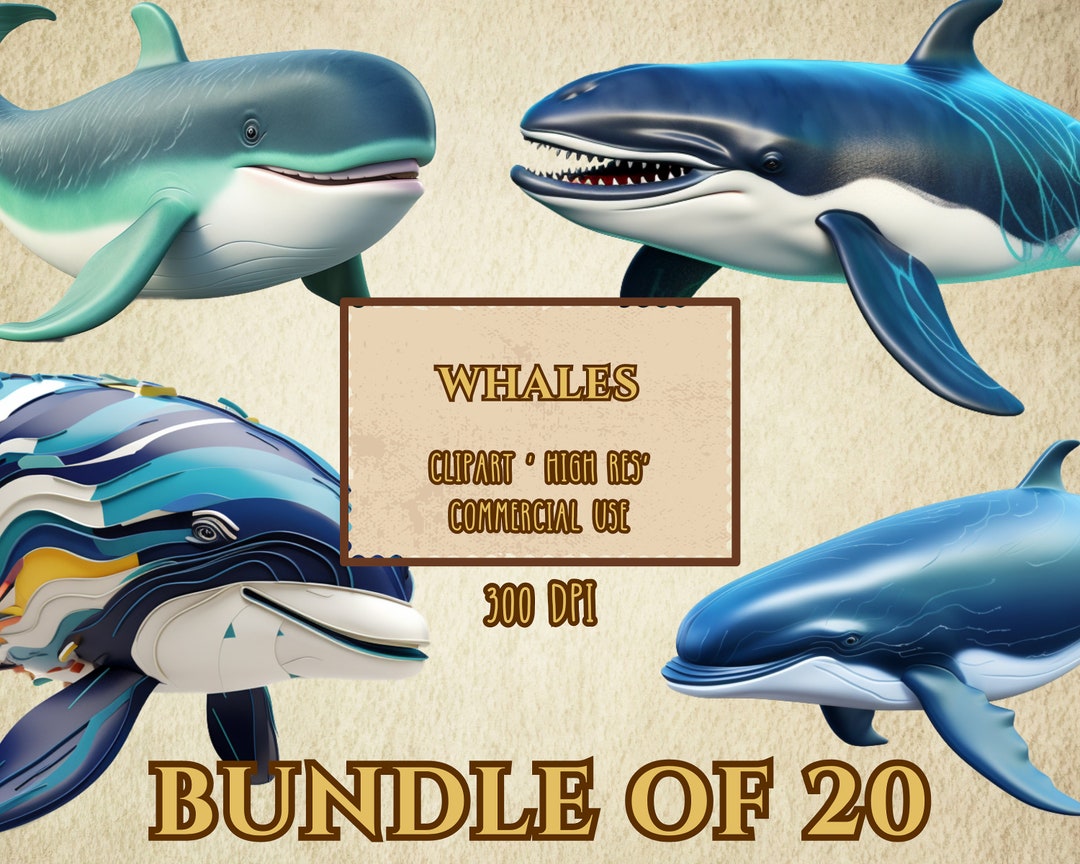Whales Bundle of 20 High Resolution Clip Art 300 DPI Transparent ...
