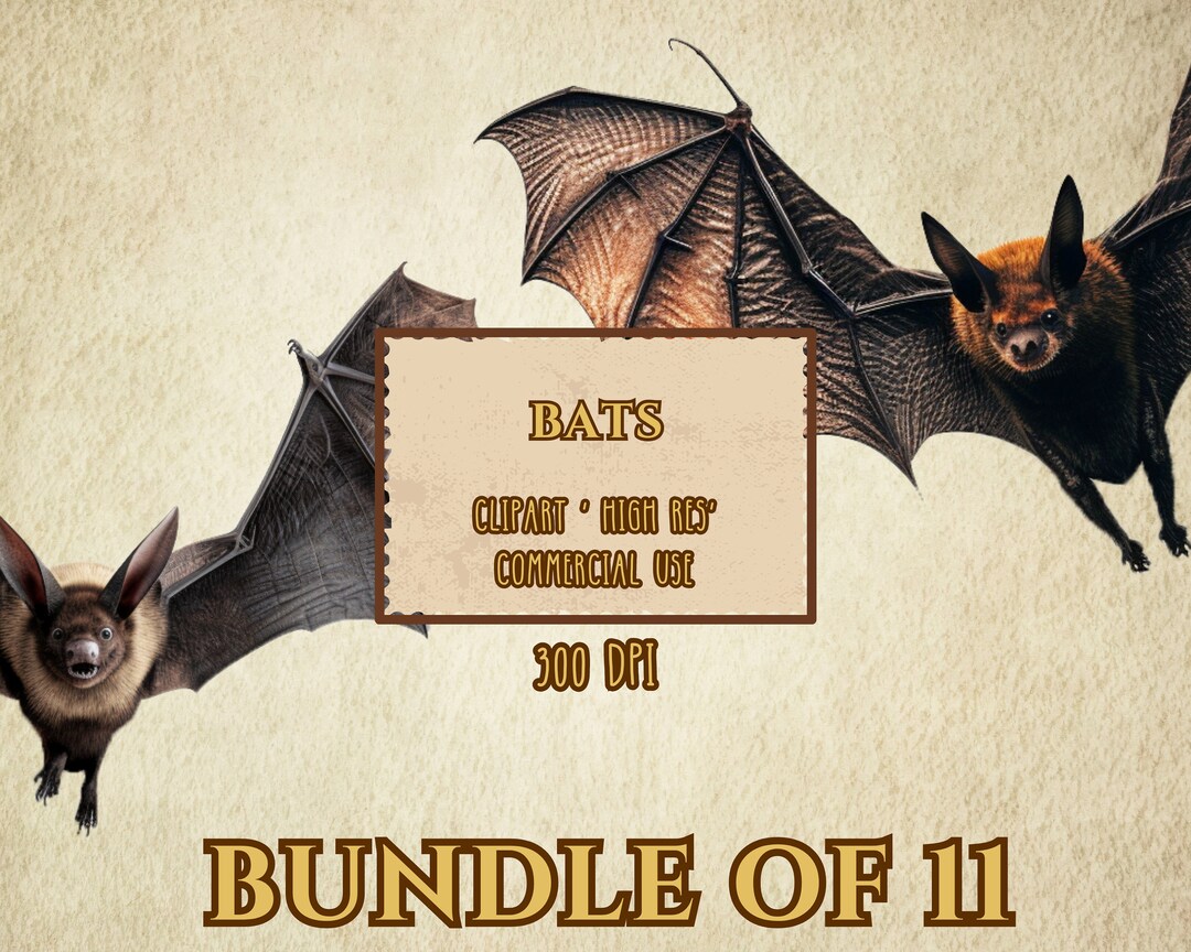 Bats Bundle of 11 Clip Art, High Resolution, Transparent Background ...