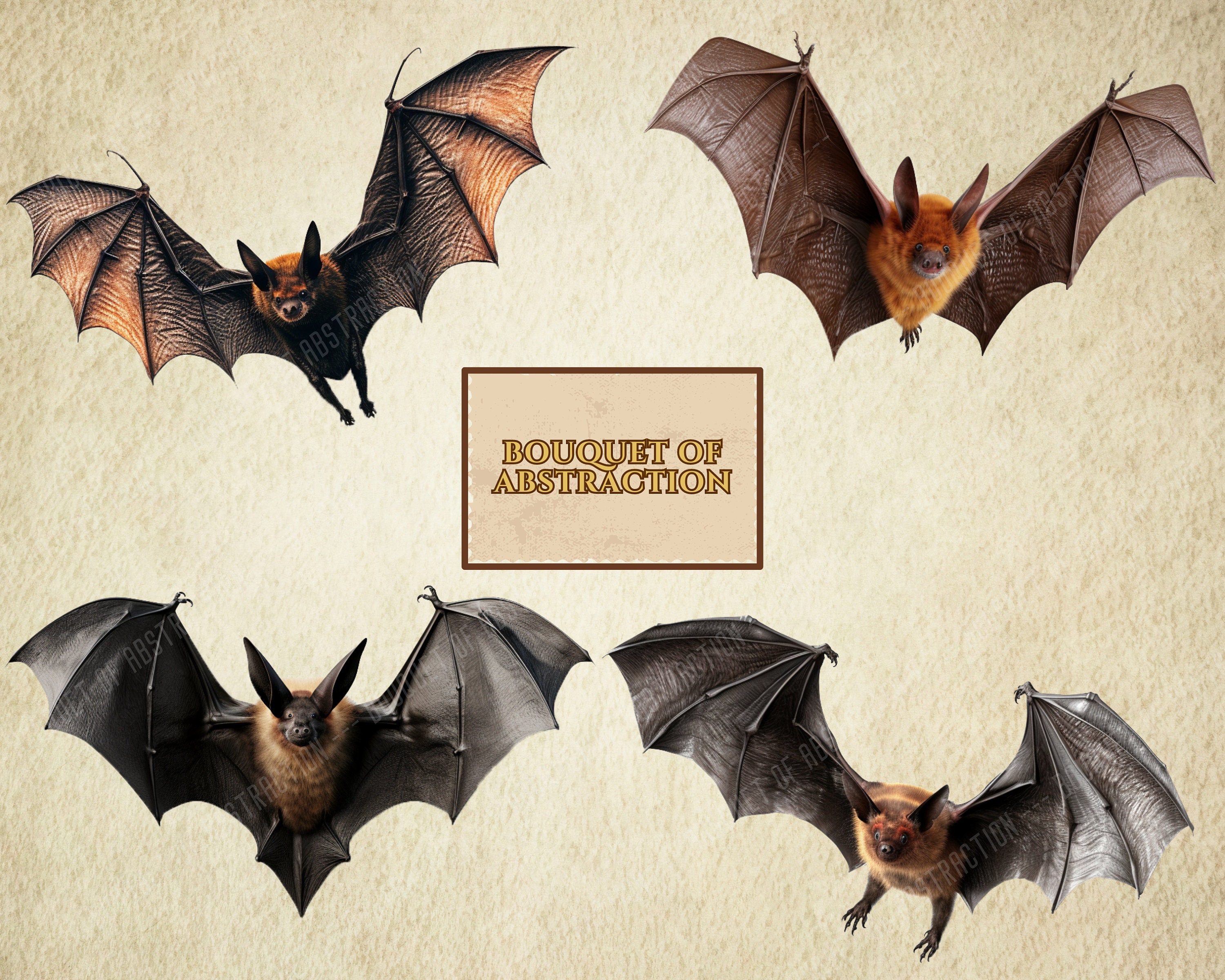 Bats Bundle of 11 Clip Art, High Resolution, Transparent Background ...