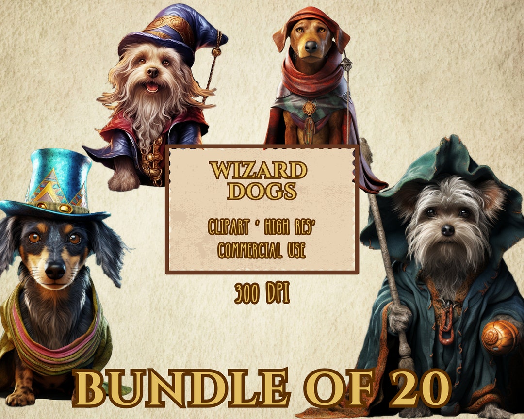 Wizard Dogs Bundle of 20 Clip Art High Resolution 300 DPI Transparent ...