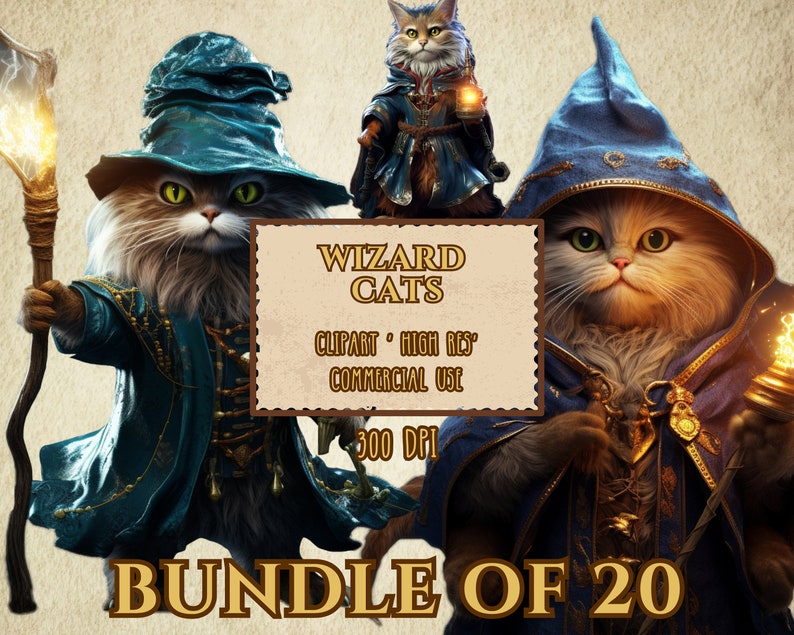 Wizard Cats Bundle of 20 High Resolution 300 DPI Transparent Background PNG Files - Etsy Canada